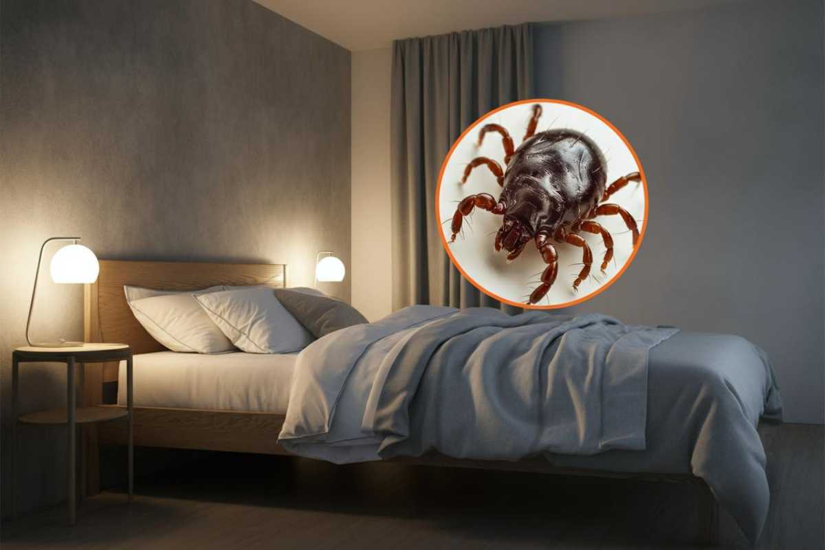 Acari addio? Il trucco inaspettato per un letto più pulito e che rende ...